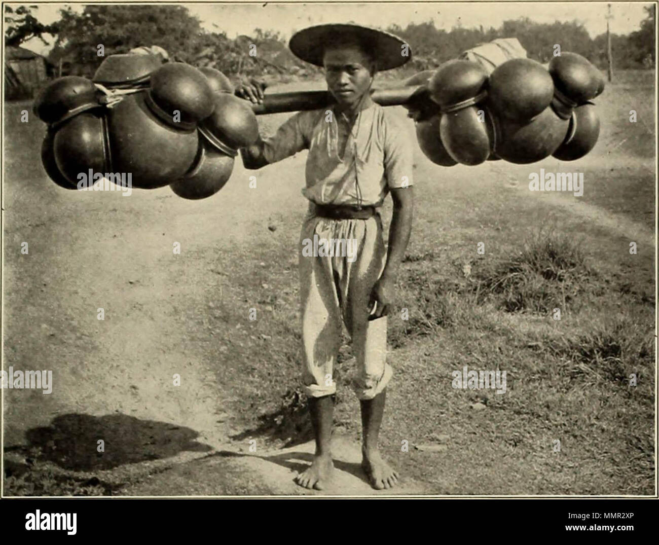 "The Philippine journal of science" (1906 Stock Photo - Alamy