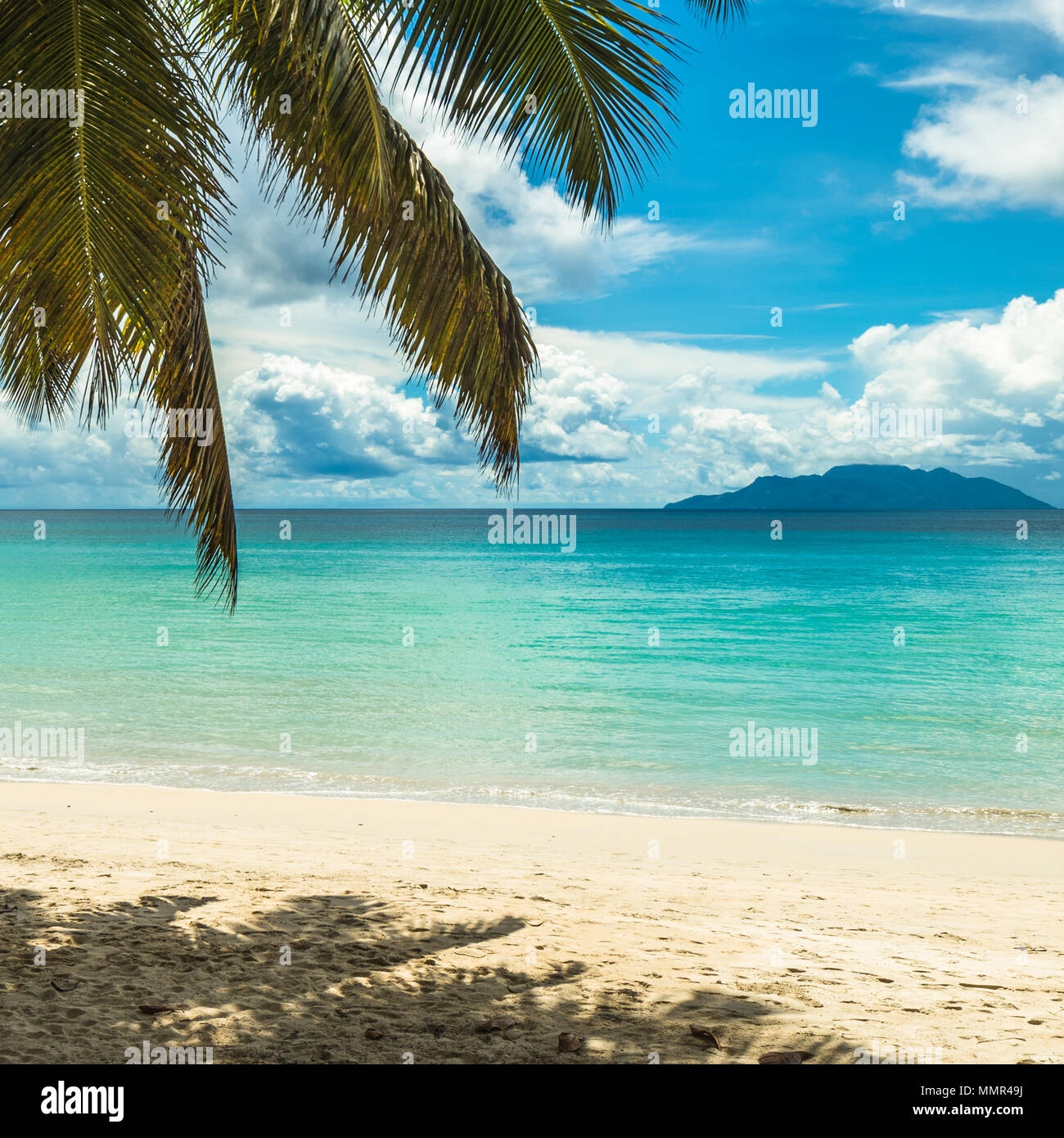 Tropical island beach. Perfect vacation background Stock Photo - Alamy