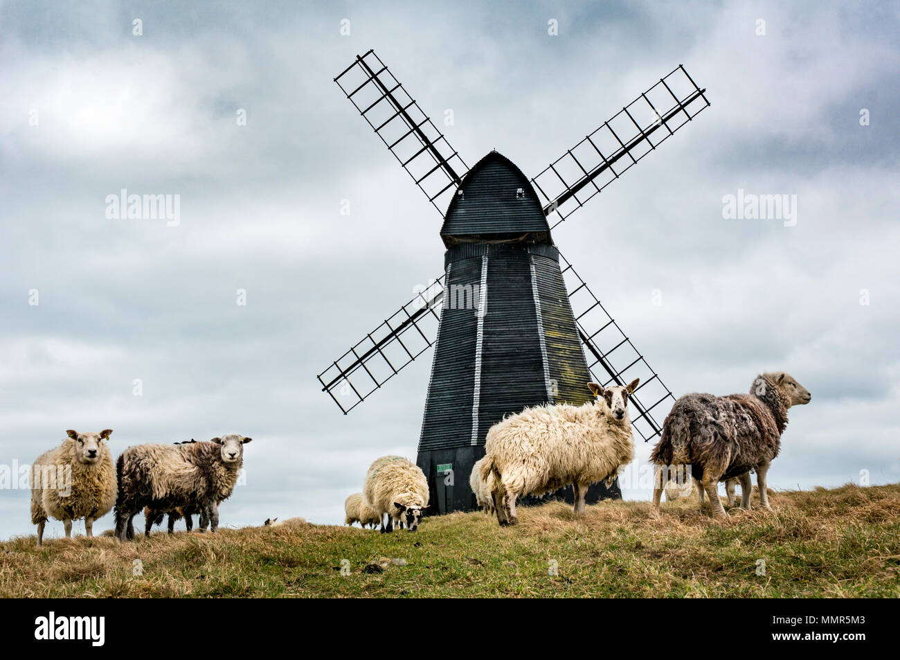 Windmill Rottingdean United Kingdom Stock Photo - Alamy