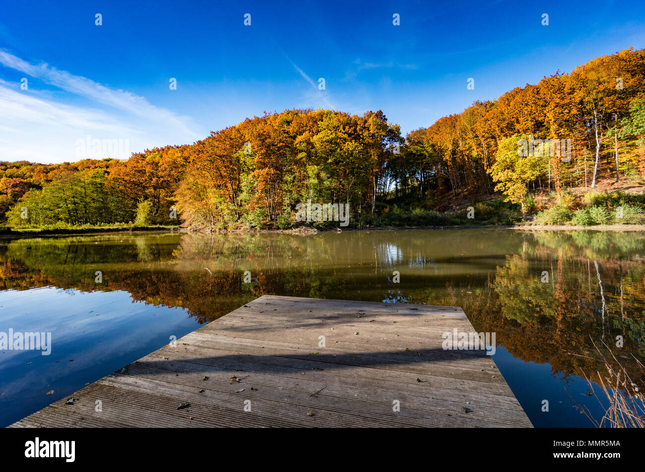 Autumn lake Ardennes Stock Photo - Alamy