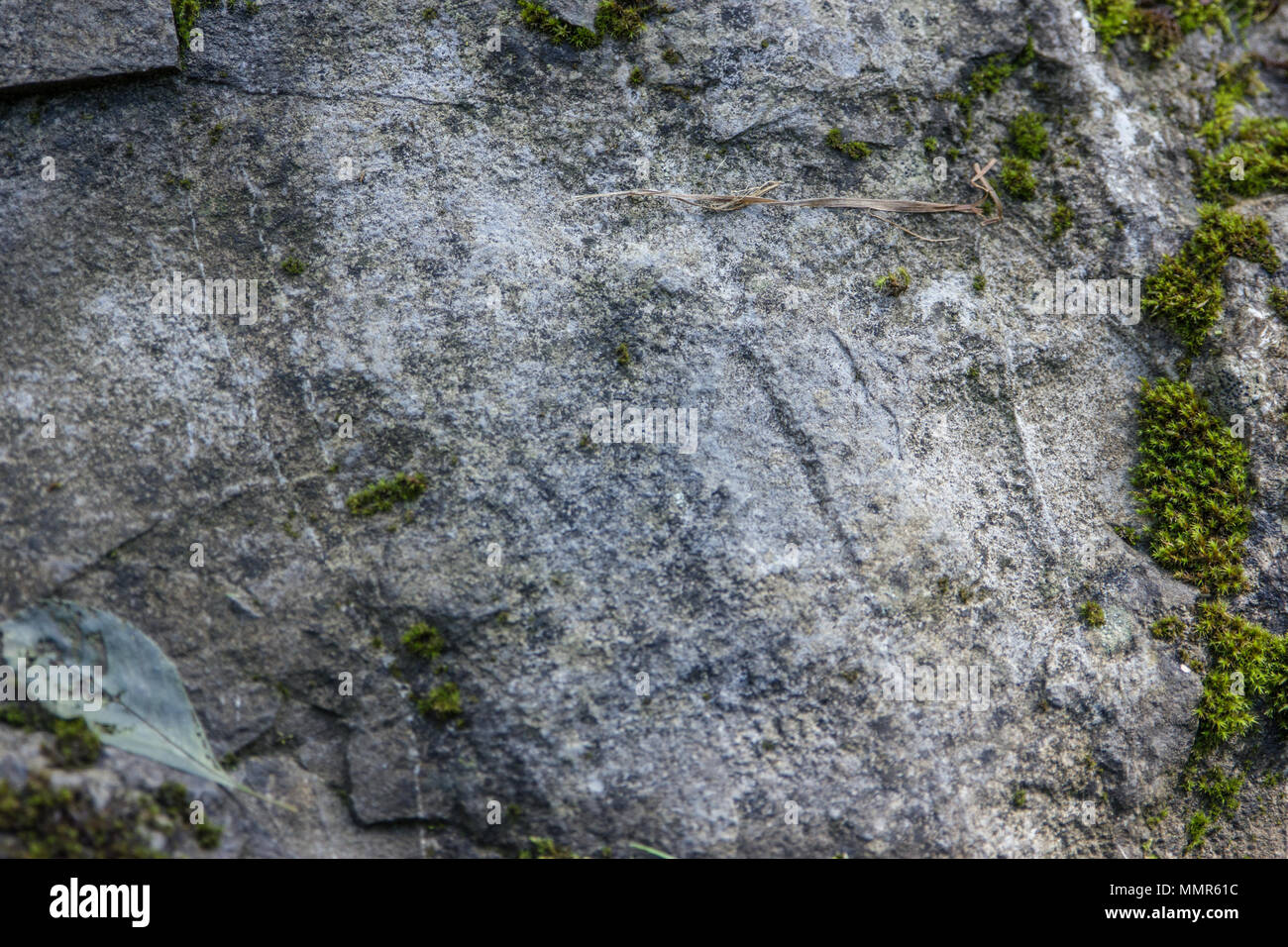 Stone Rock With Moss Texture Stock Photo - Alamy