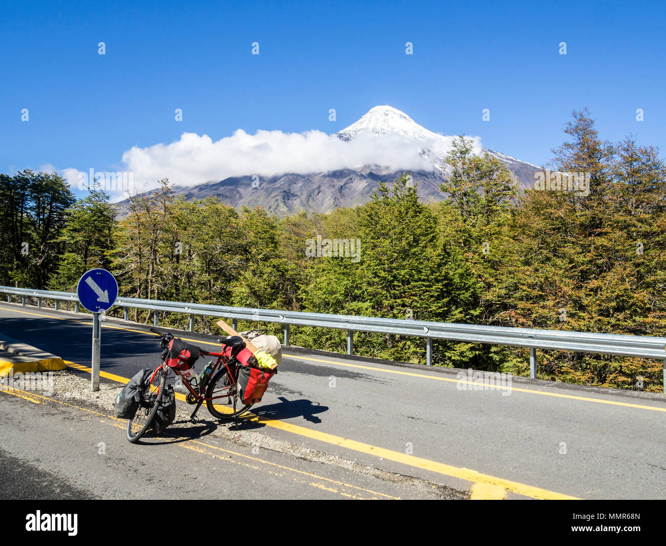 Tree bicycle hi-res stock photography and images - Alamy