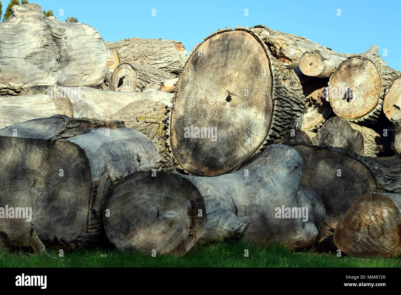 Log pile texture hi-res stock photography and images - Alamy