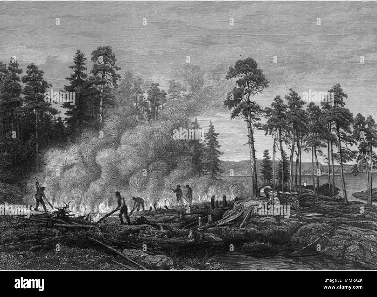 Slash And Burn Cycle