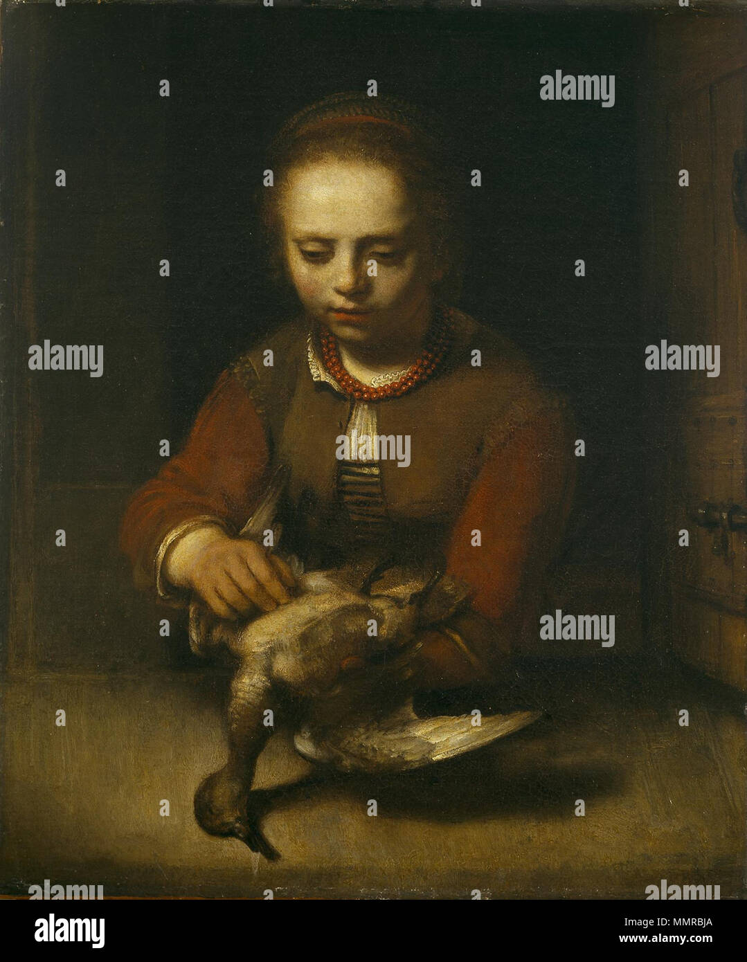 Young Girl Plucking a Duck. circa 1645. Barent Fabritius 001 Stock ...