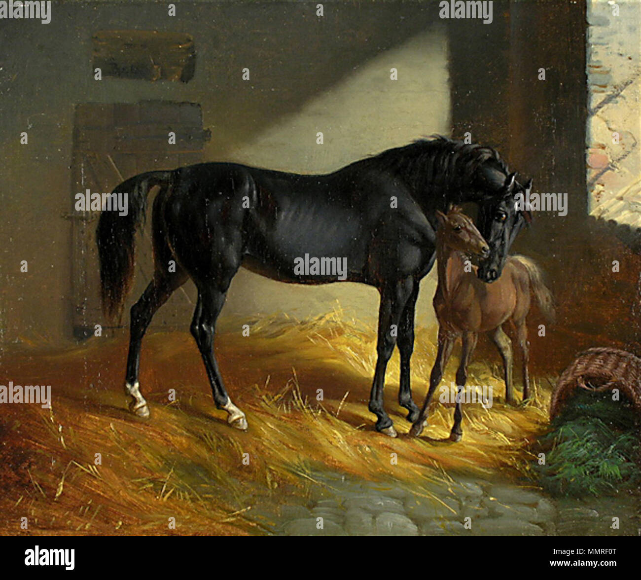 Benno adam hi-res stock photography and images - Alamy