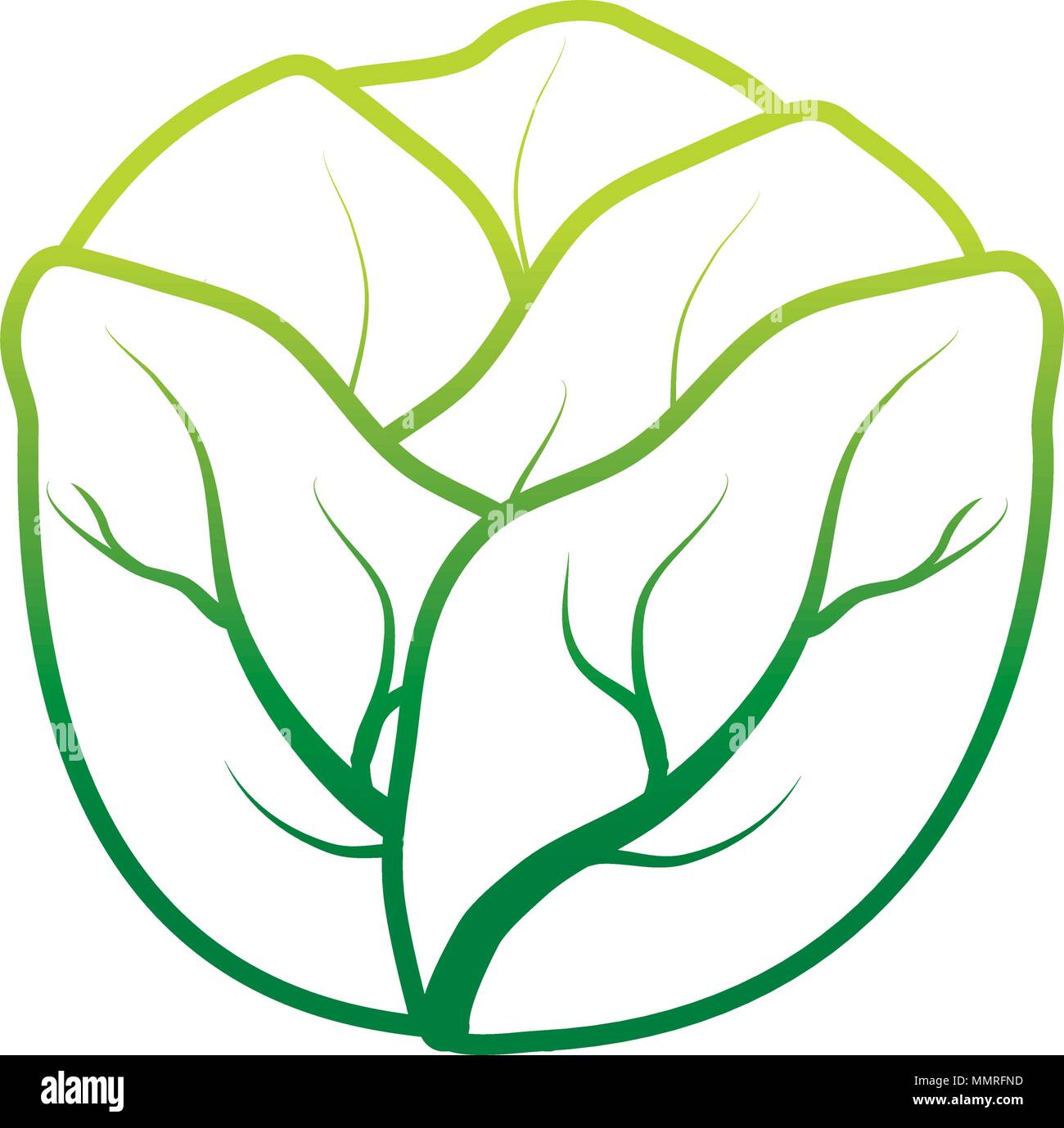 degraded line natural lettuce vegetable organic food Stock Vector Image ...