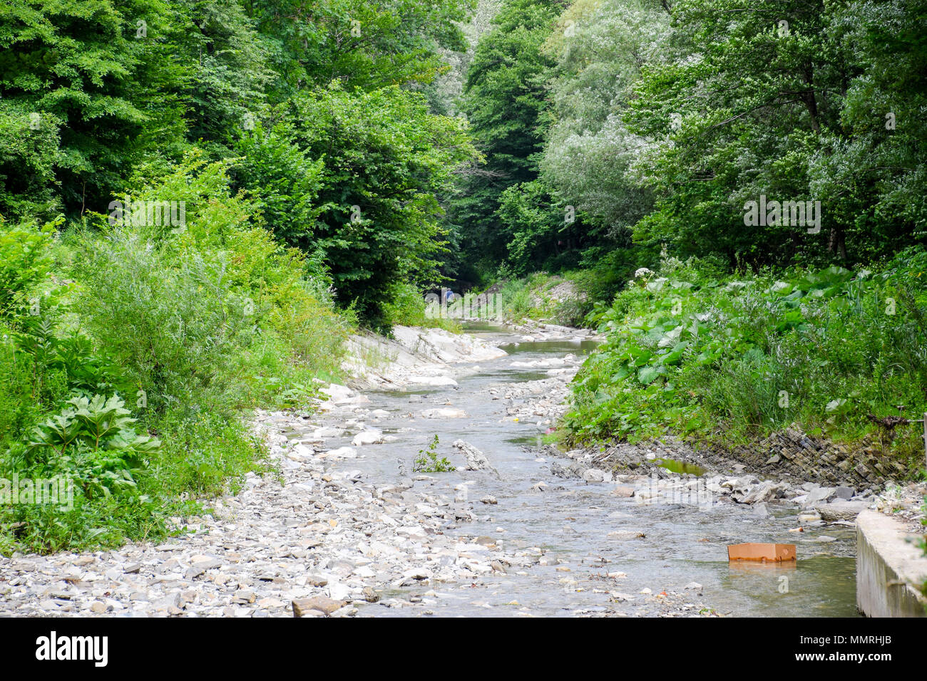Shallow mountain river with trees on the shore. Landscape of the river ...