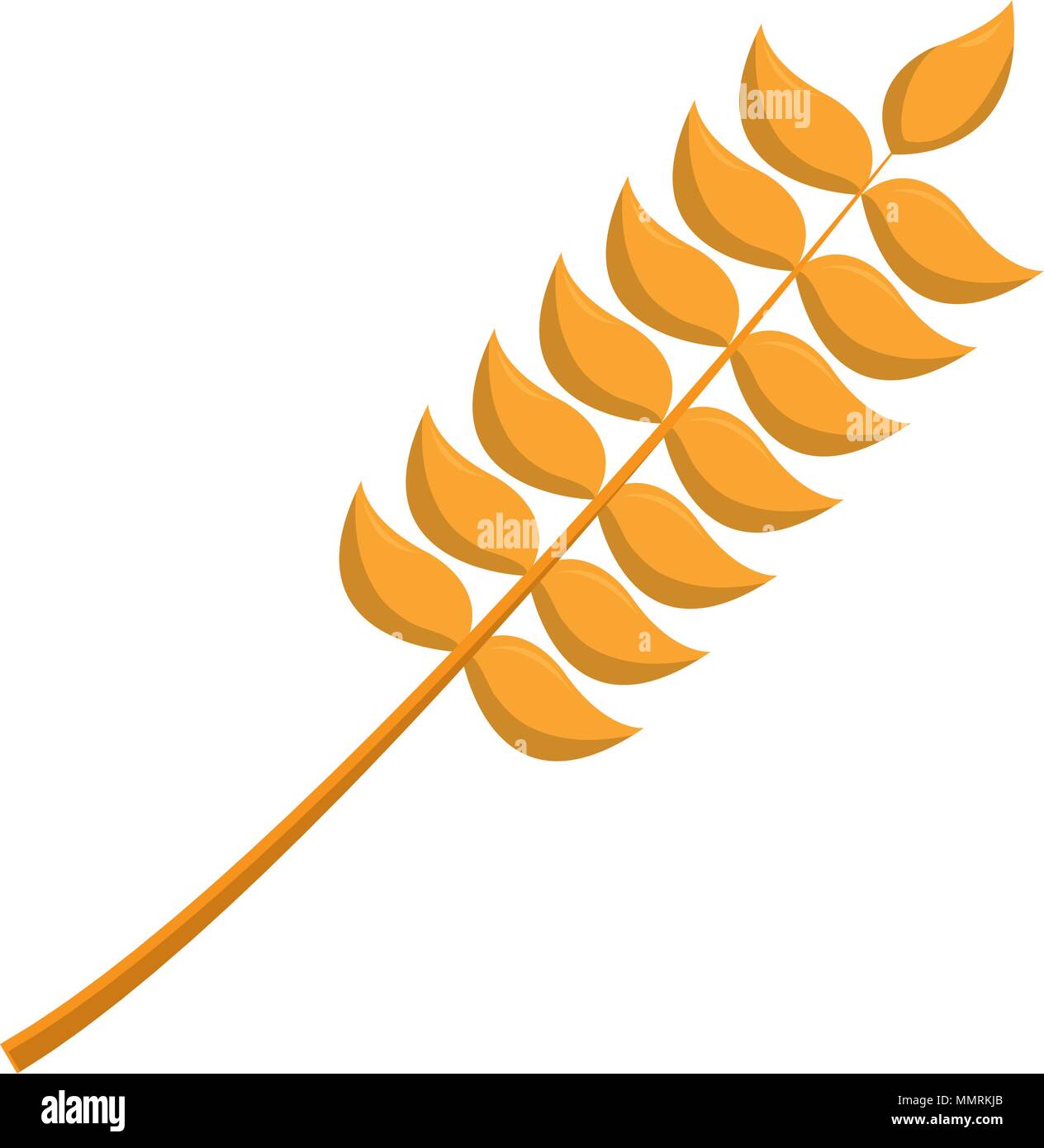 agriculture wheat plant with leaves grains Stock Vector Image & Art - Alamy