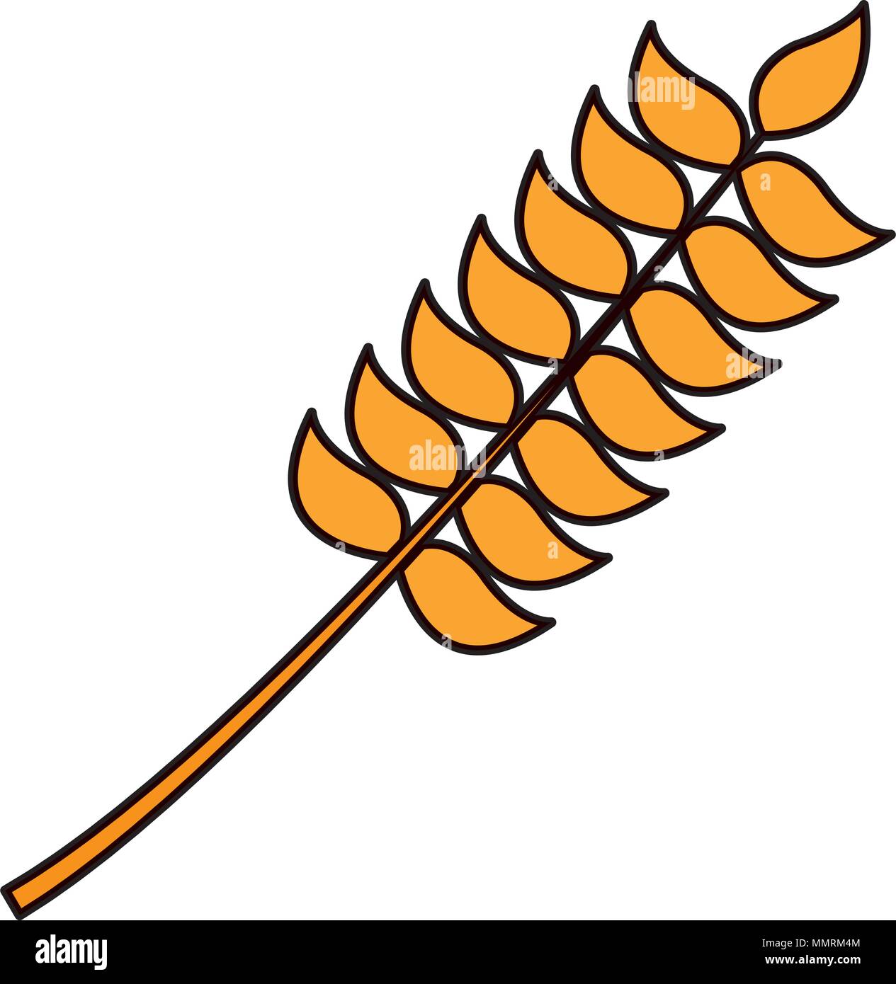 color agriculture wheat plant with leaves grains Stock Vector Image ...