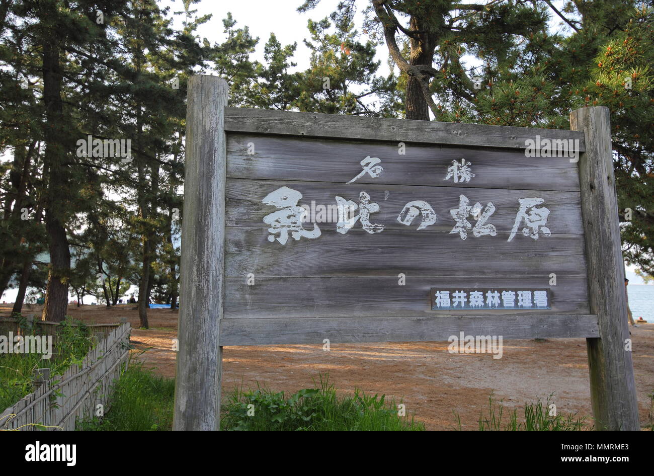 Matsubara hi-res stock photography and images - Alamy