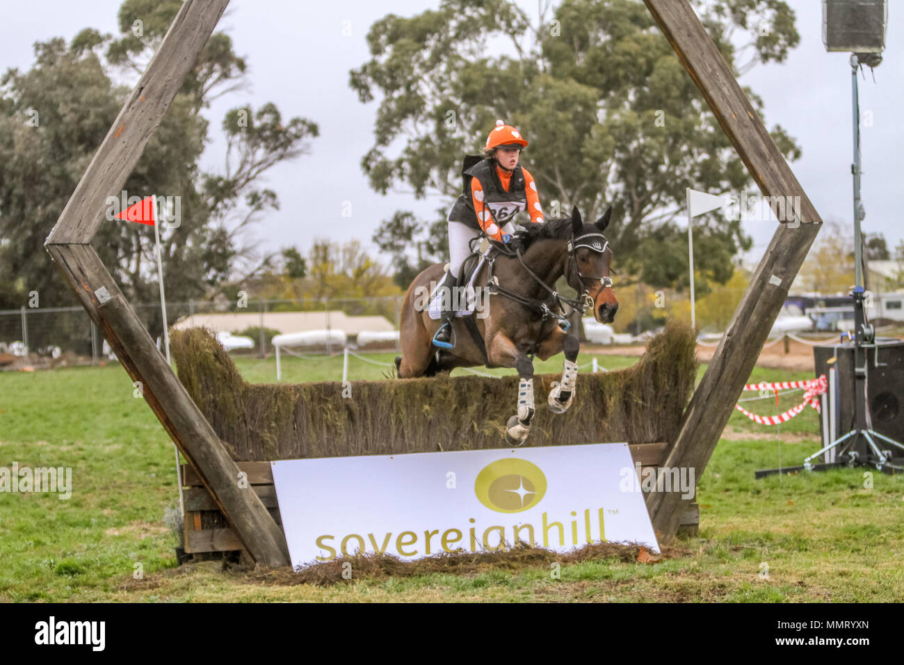 Victoria oldham hi-res stock photography and images - Alamy