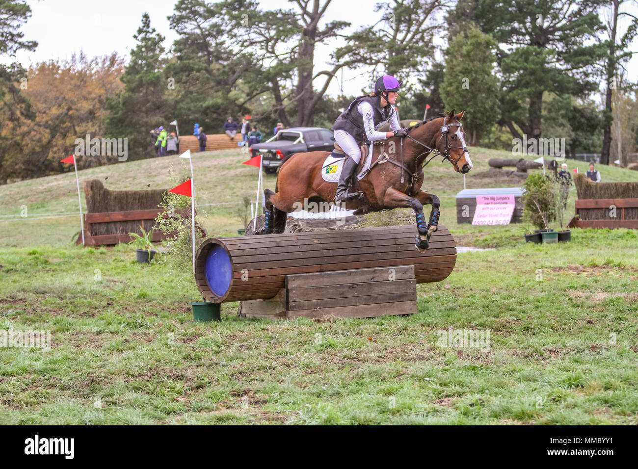 Molly brett hi-res stock photography and images - Alamy