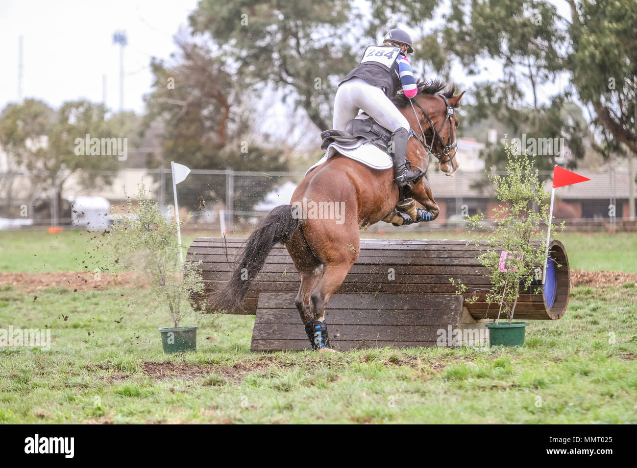 Brett peterson hi-res stock photography and images - Alamy