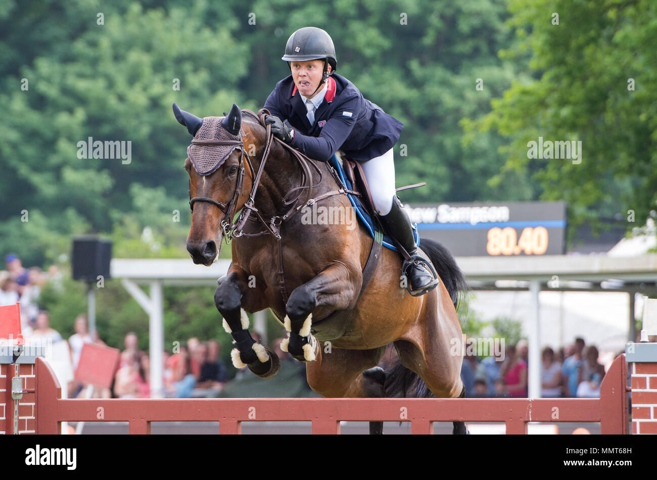 Hamburg, Germany. 13th May, 2018. 13 May 2018, Hamburg, Germany: Horse ...