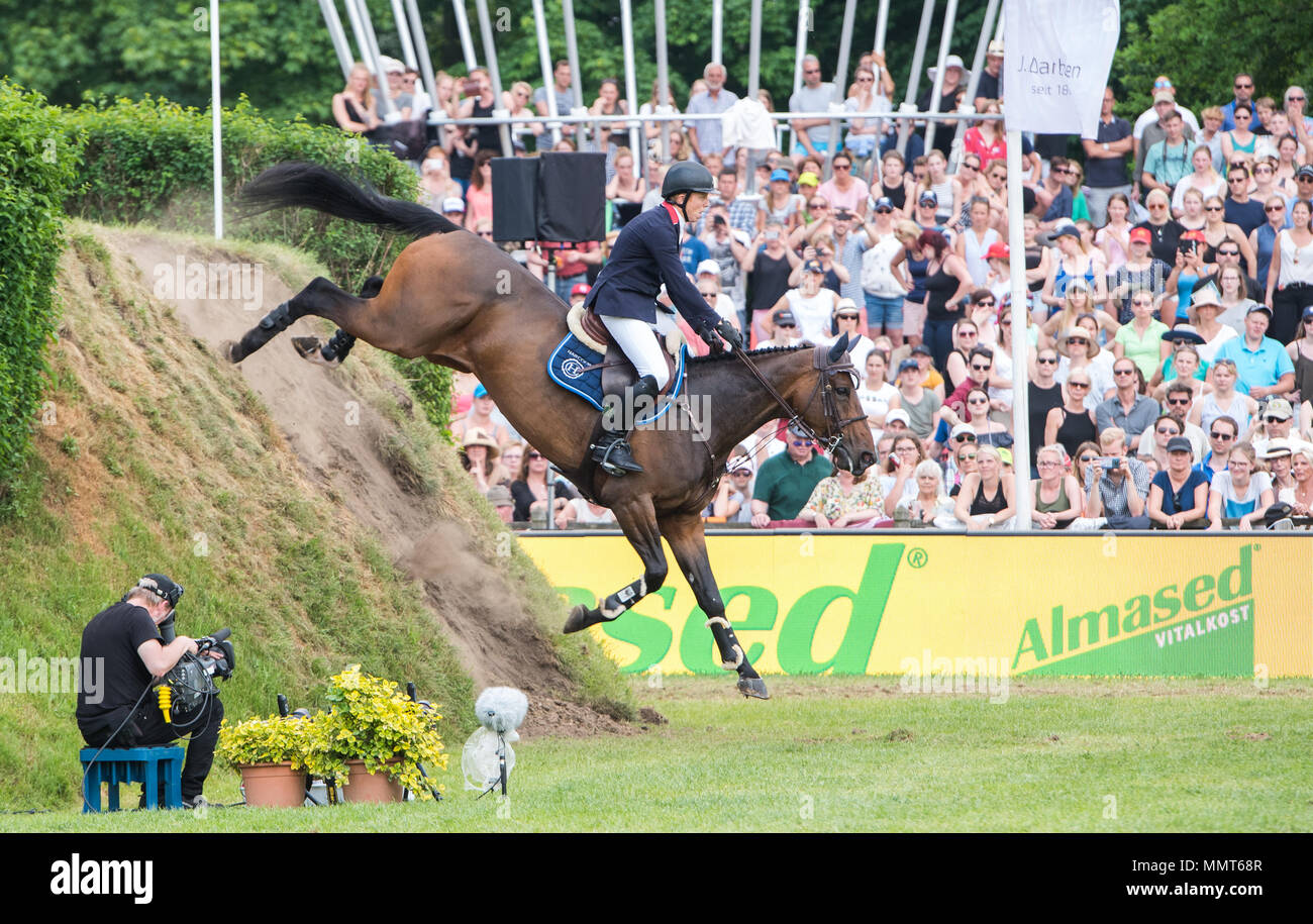 Sampson horse hi-res stock photography and images - Alamy