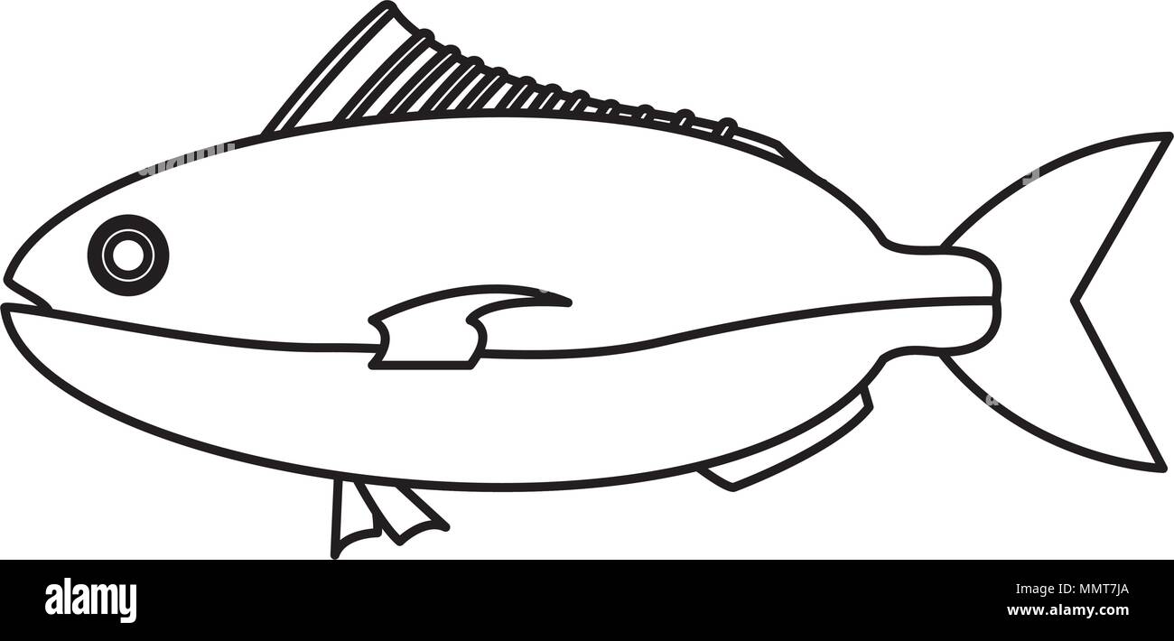 line healthy fish sea food prepared Stock Vector Image & Art - Alamy