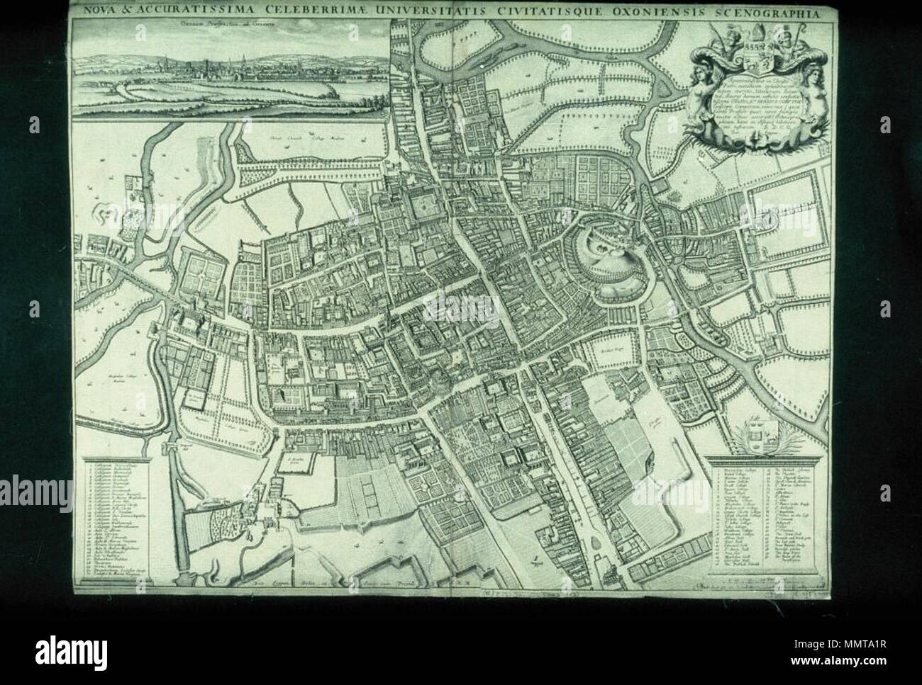 Oxonia depicta hi-res stock photography and images - Alamy