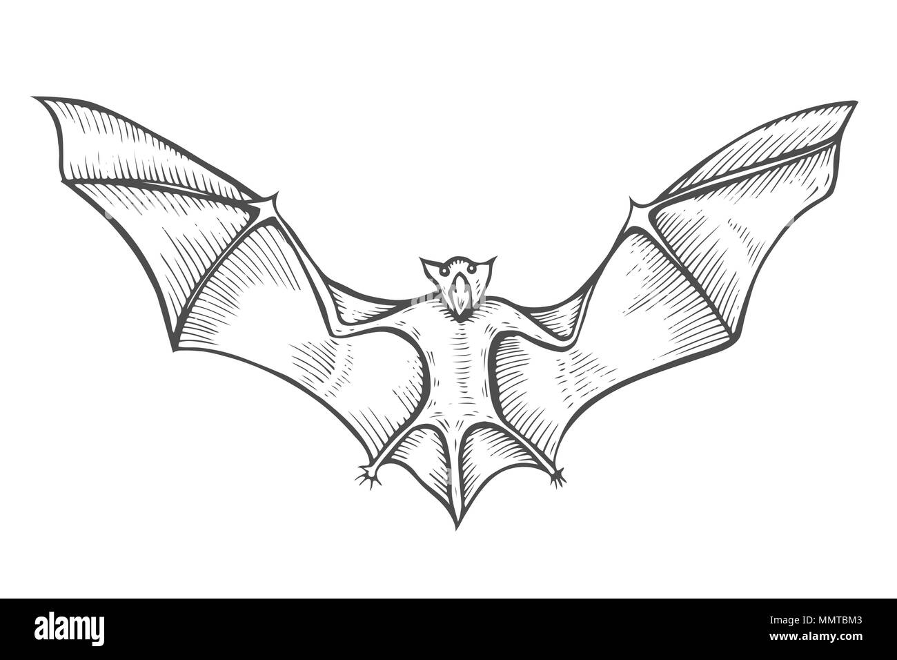 Screaming flying bat with extended wings, hand drawn vector ...