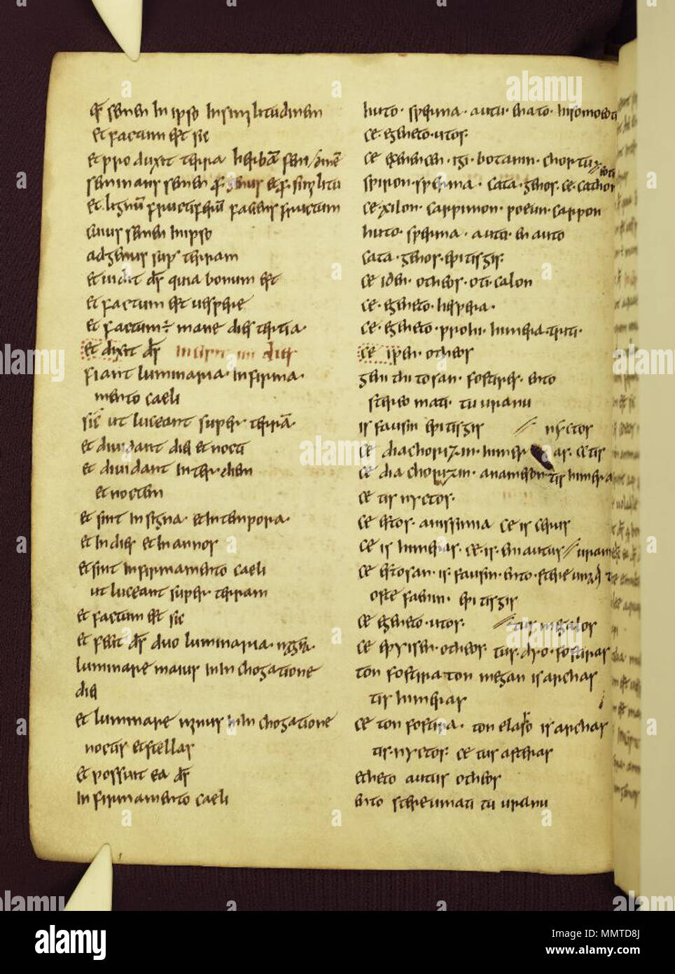. 'St. Dunstan's Classbook': Eutyches, with Old Breton glosses, 9th ...