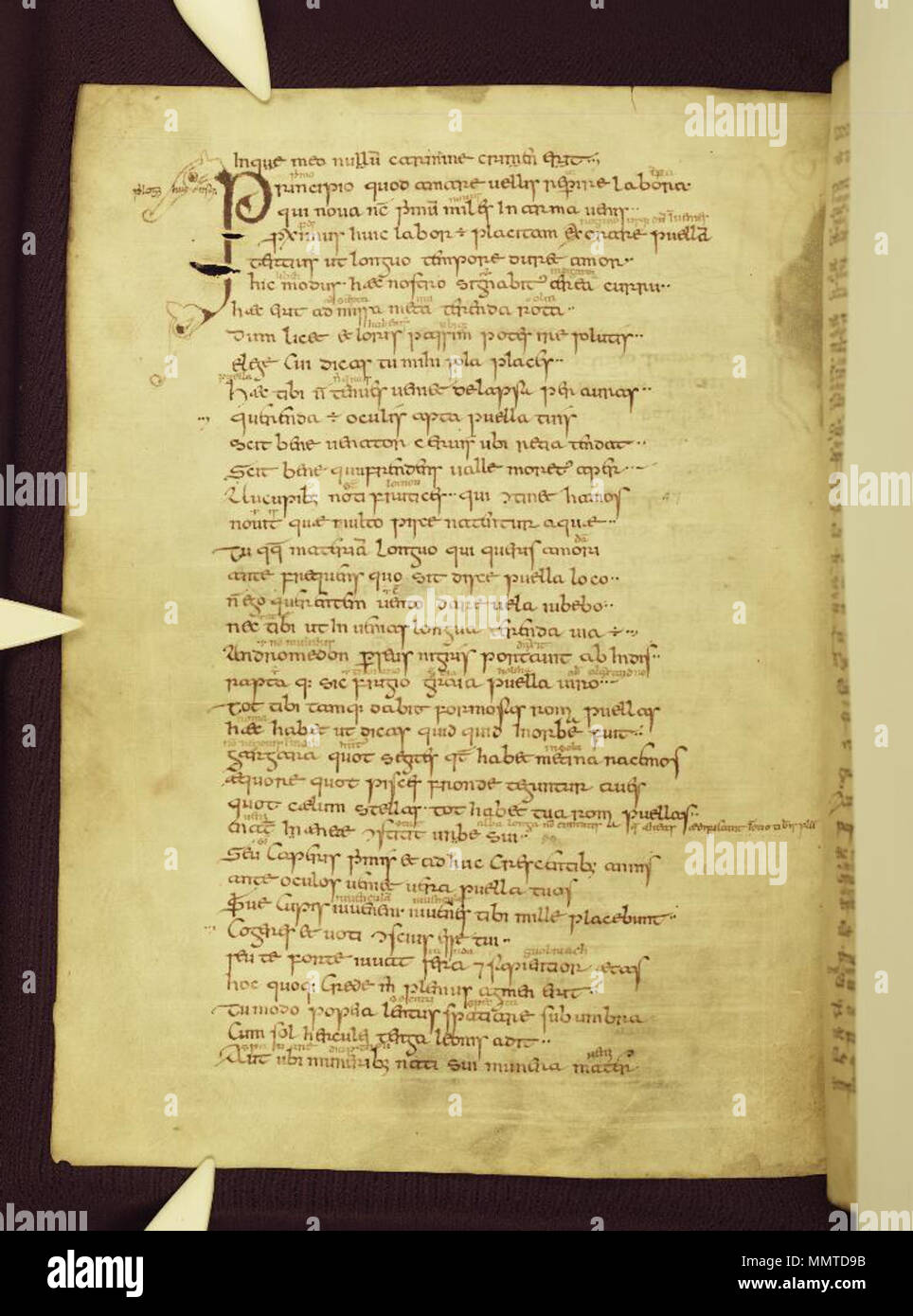 Glastonbury classbook hi-res stock photography and images - Alamy