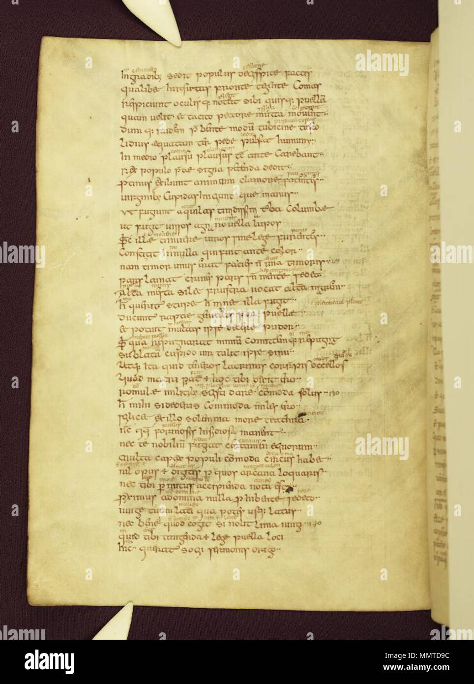 Glastonbury Classbook High Resolution Stock Photography and Images - Alamy