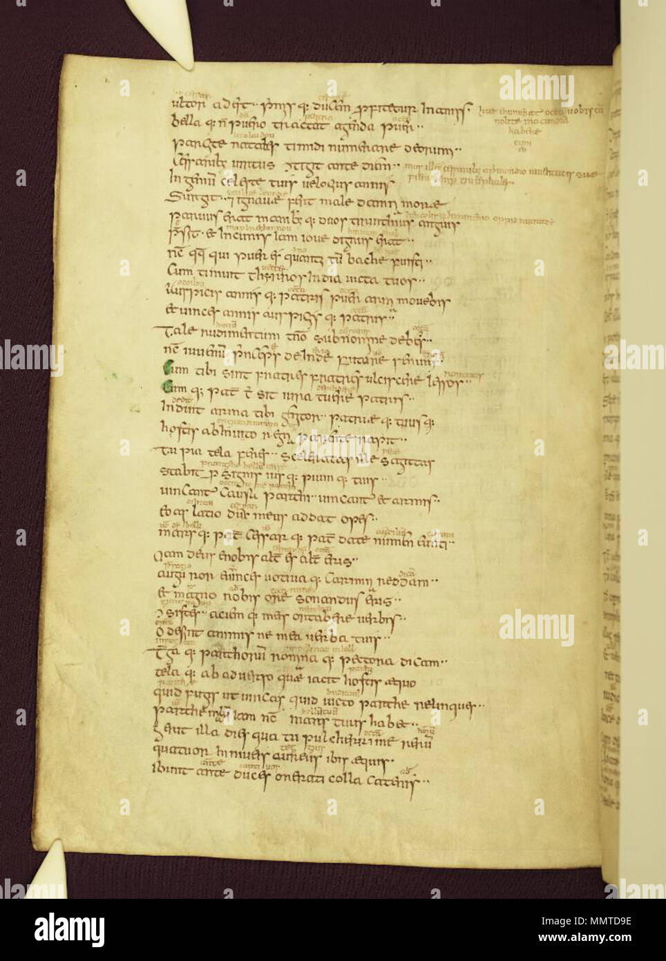 . 'St. Dunstan's Classbook': Eutyches, with Old Breton glosses, 9th ...