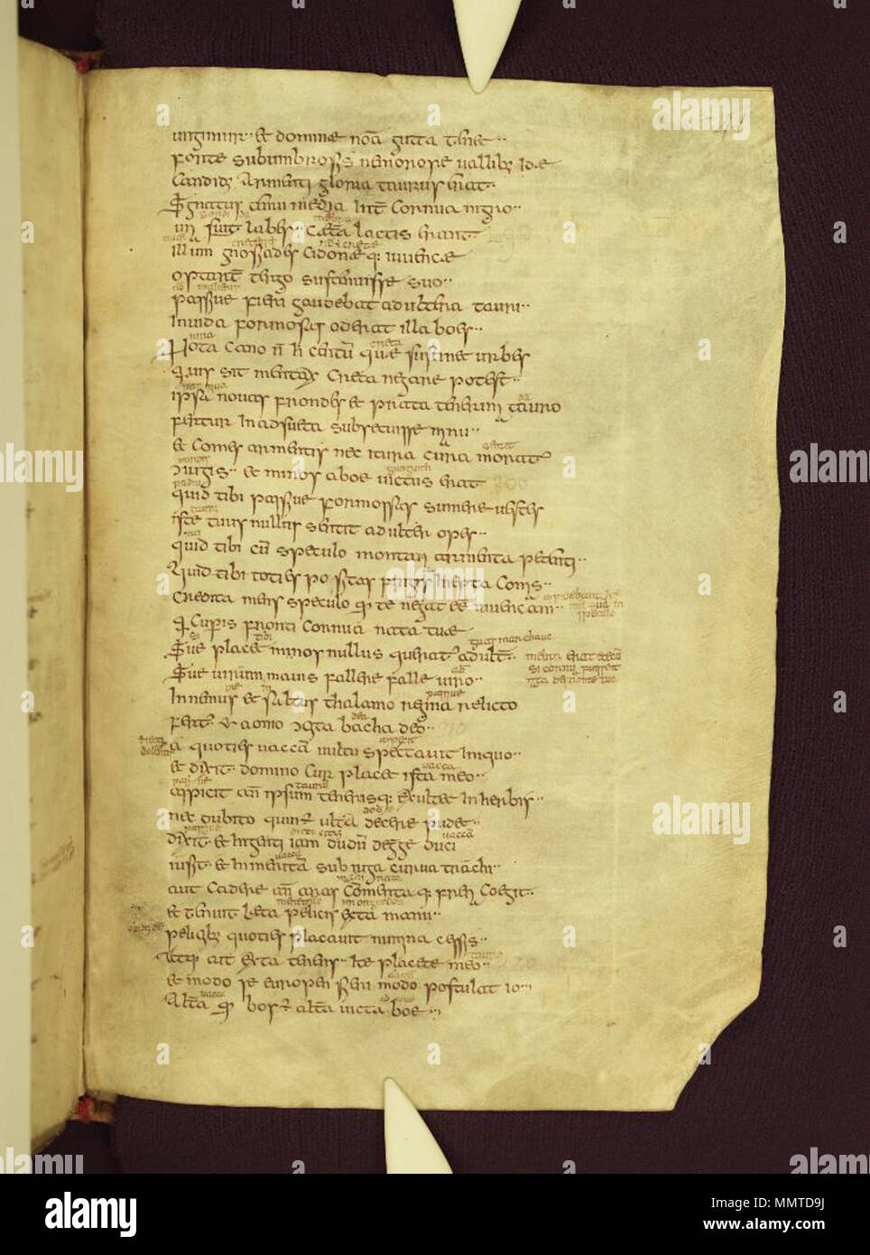 . 'St. Dunstan's Classbook': Eutyches, with Old Breton glosses, 9th ...
