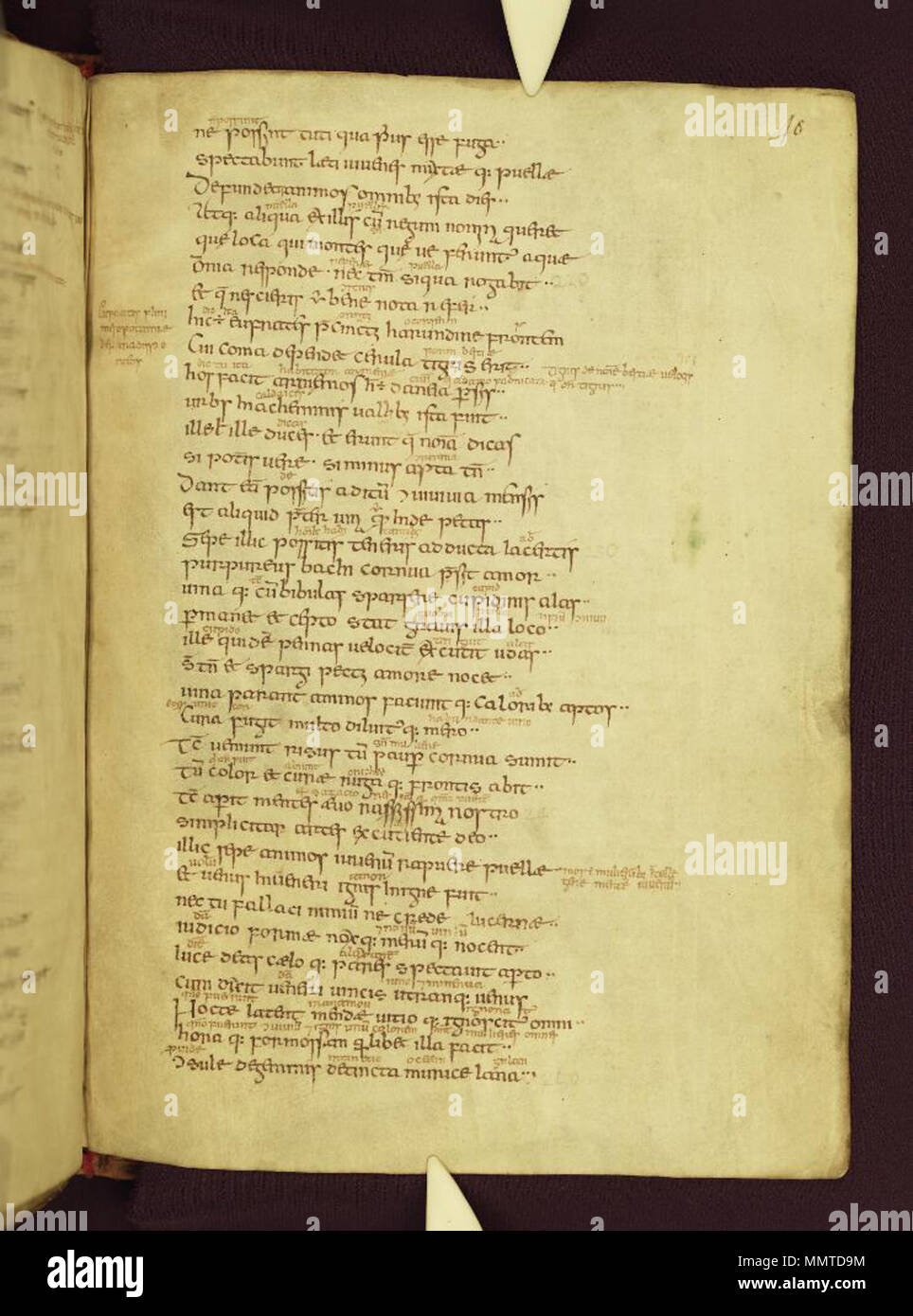 . 'St. Dunstan's Classbook': Eutyches, with Old Breton glosses, 9th ...