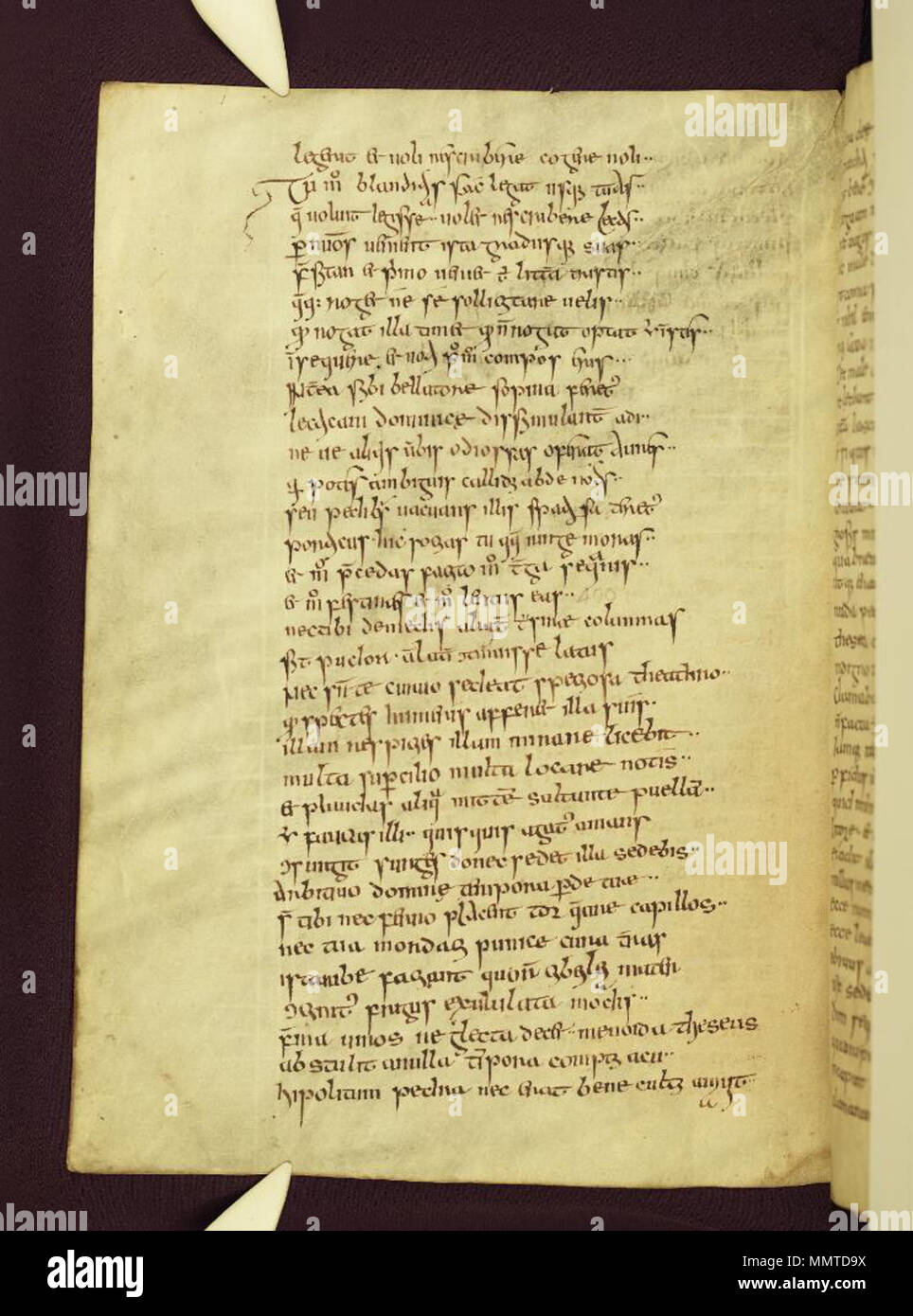 Glastonbury classbook hi-res stock photography and images - Alamy