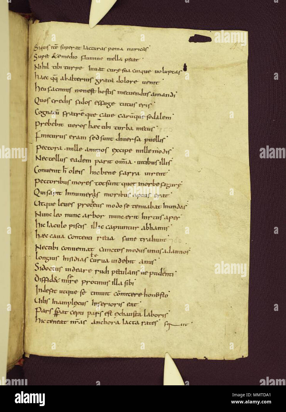 . 'St. Dunstan's Classbook': Eutyches, with Old Breton glosses, 9th ...