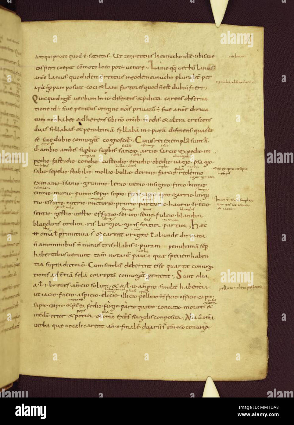 Glastonbury classbook hi-res stock photography and images - Alamy