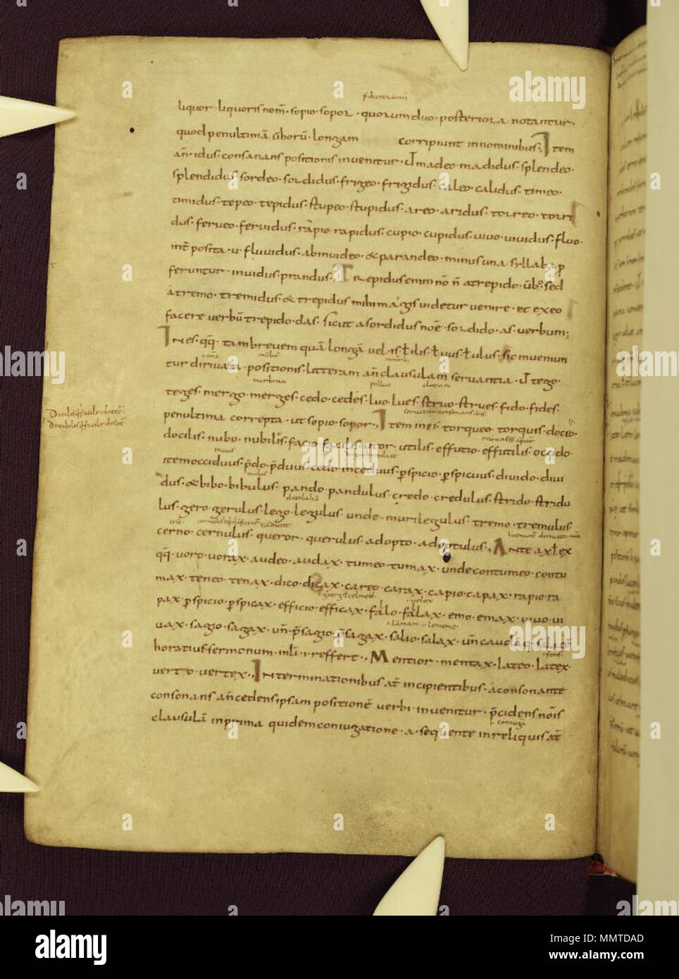 Glastonbury classbook hi-res stock photography and images - Alamy