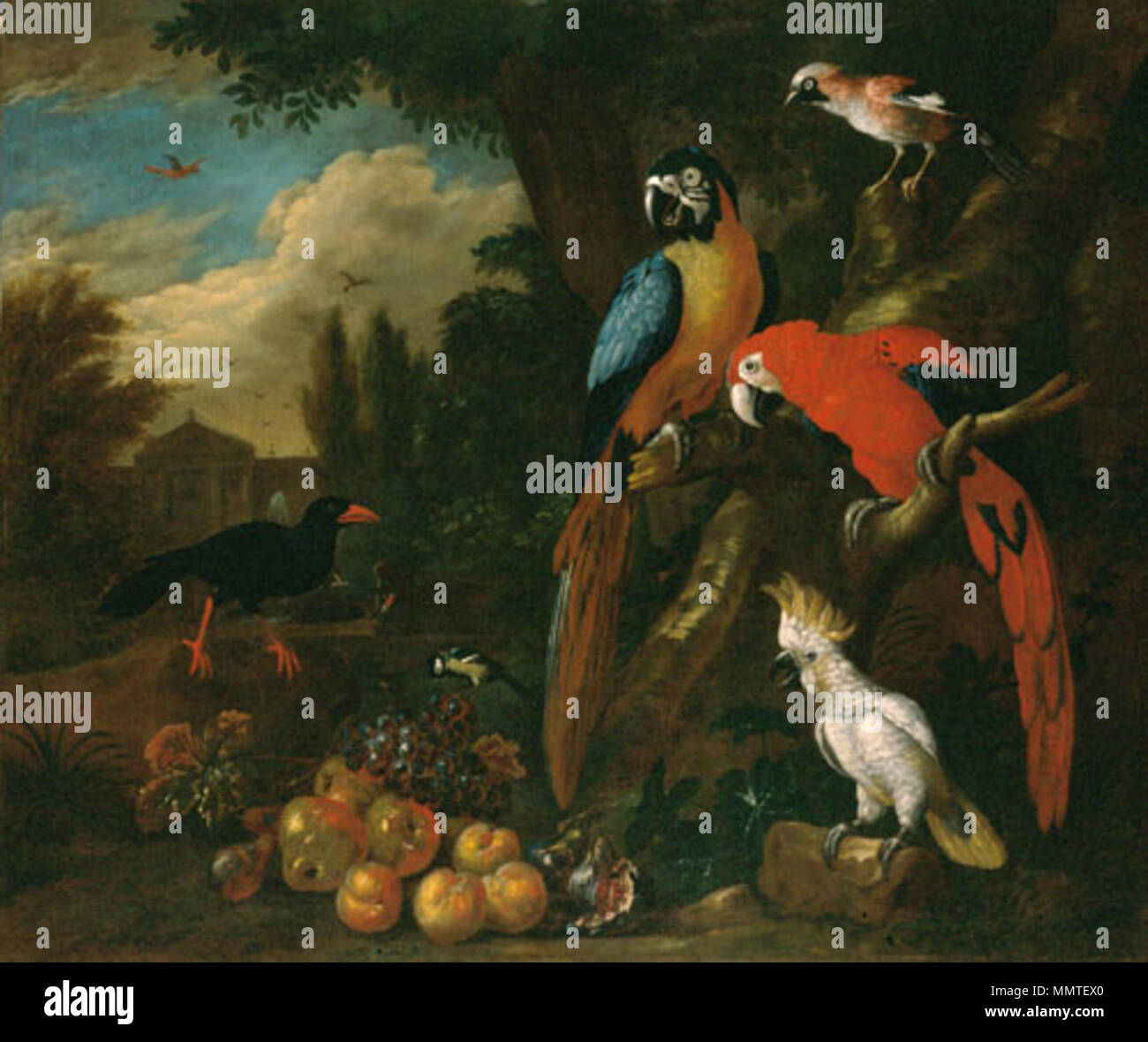 Bogdány Still-Life with Fruit, Parrots and a White Cockatoo Stock Photo ...