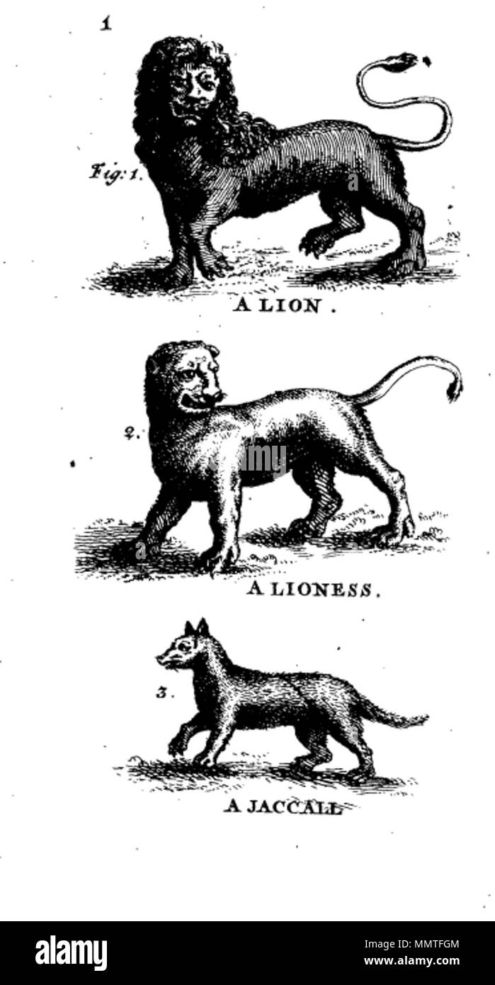 . English: Lion and jackal illustrations from Thomas Boreman's Three ...