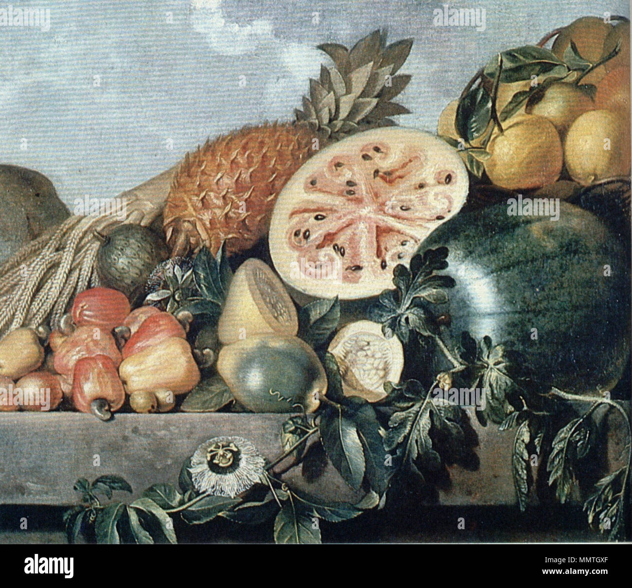 Brazilian fruits. before 1664. Brazilian Fruits Stock Photo - Alamy