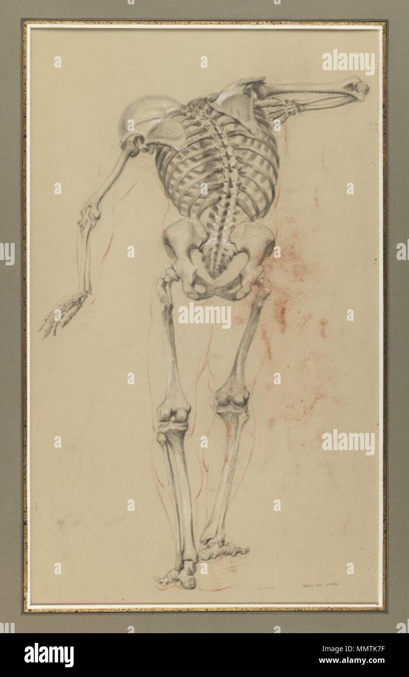 Skeleton Study. between 1846 and 1850. Brooklyn Museum - Skeleton Study ...