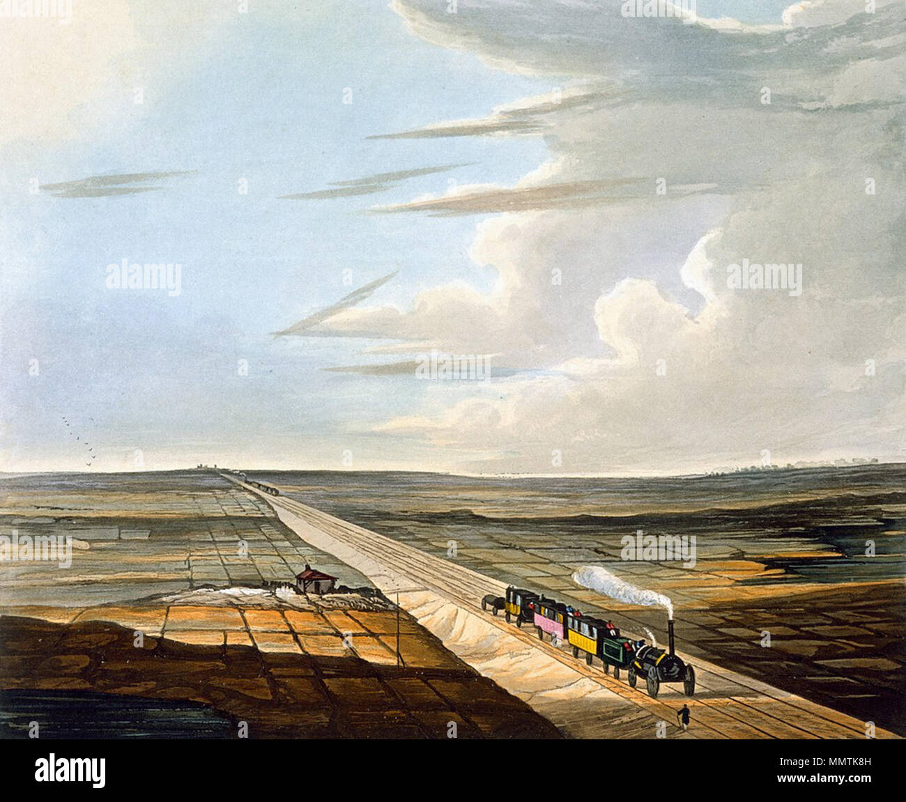 Chat moss line hi-res stock photography and images - Alamy