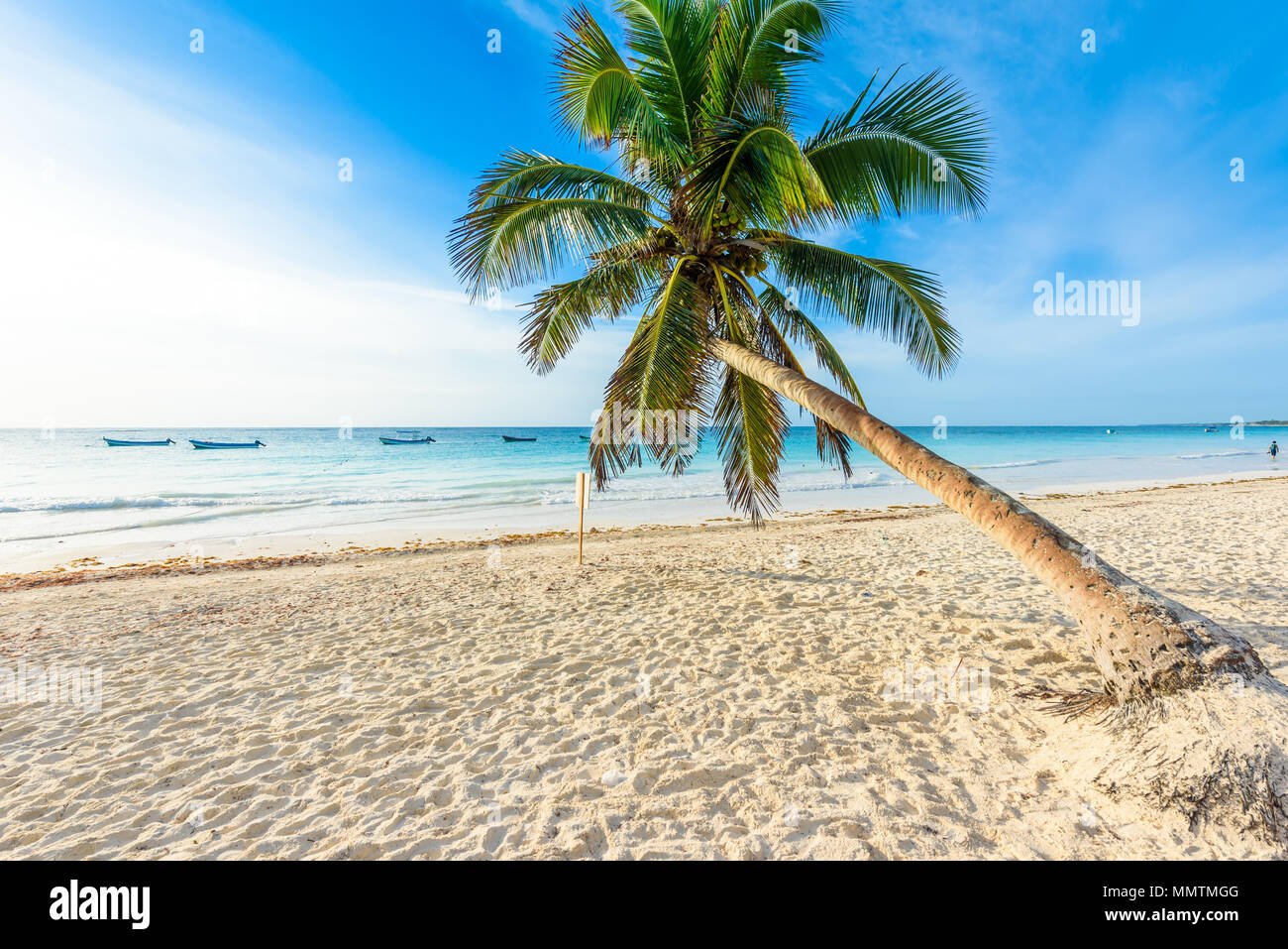 Playa paraíso tulum hi-res stock photography and images - Alamy