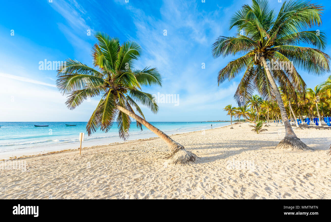Playa paraíso tulum hi-res stock photography and images - Alamy