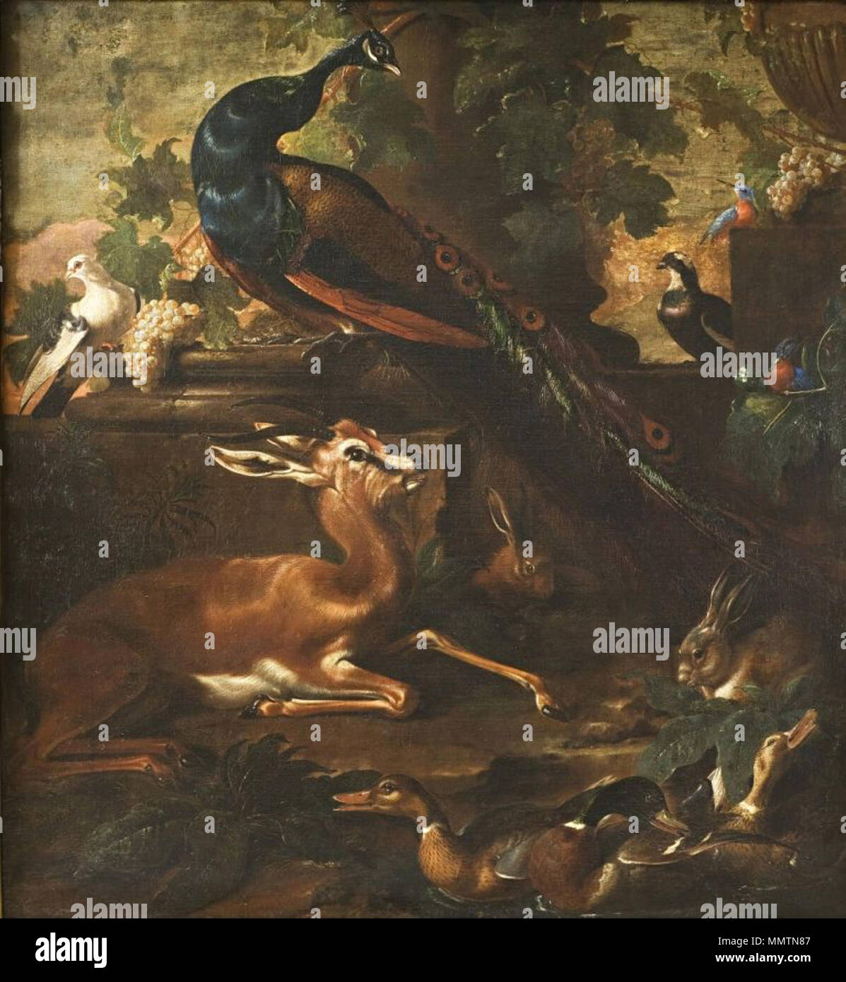 Birds and Beasts. 17th century. Jacob van der Kerckhoven - Birds and ...