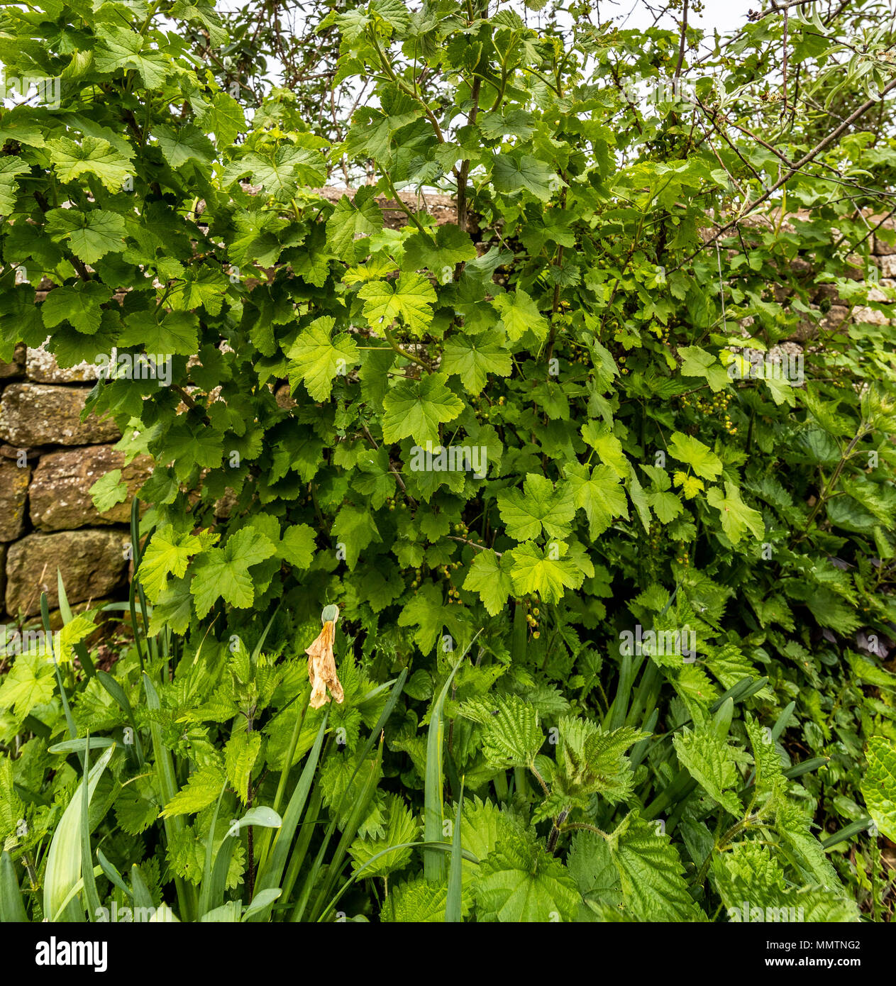 Photographers training day at Humble by Nature in the Monmouthshire ...