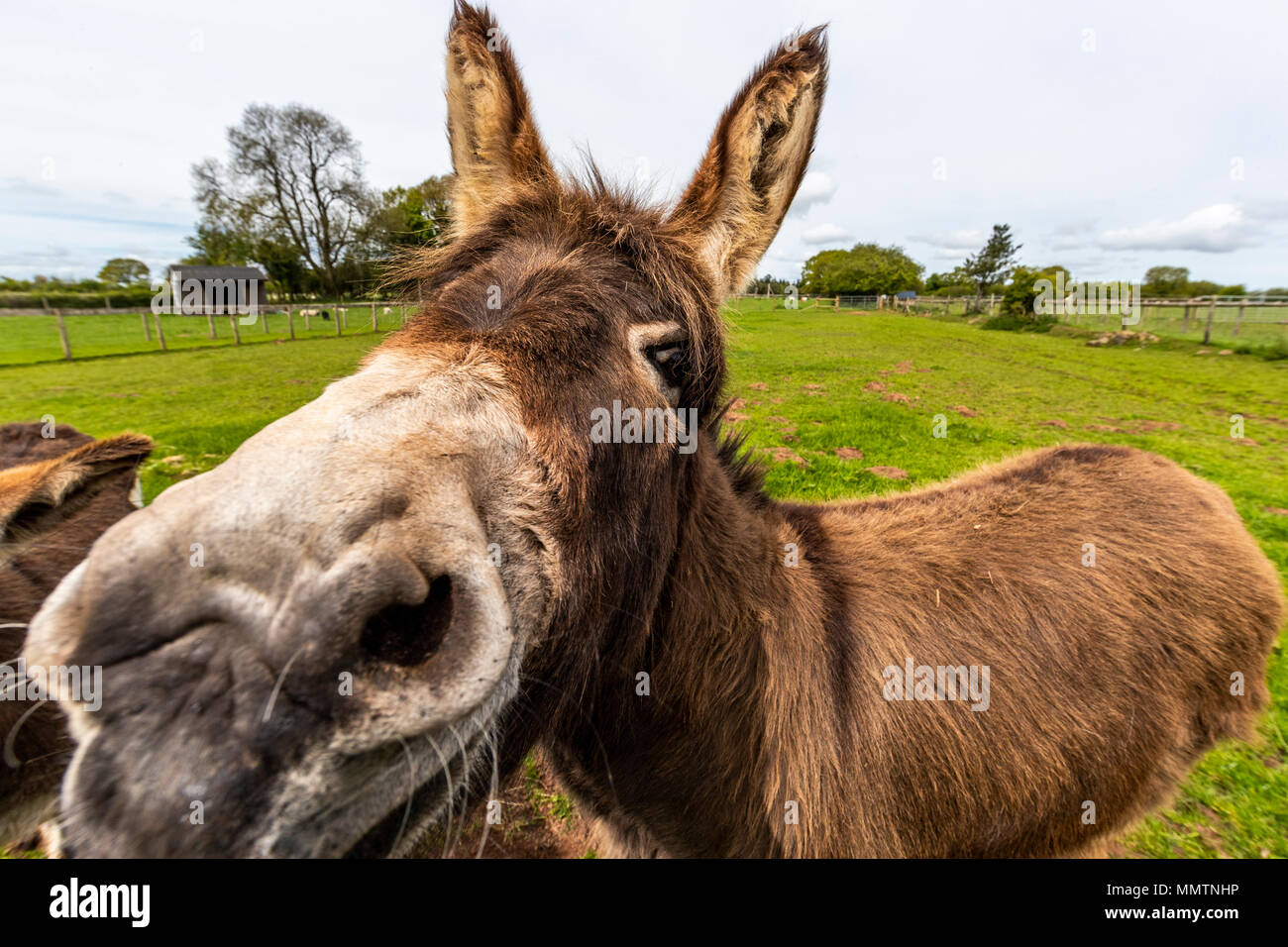 Photographers training day at Humble by Nature in the Monmouthshire ...