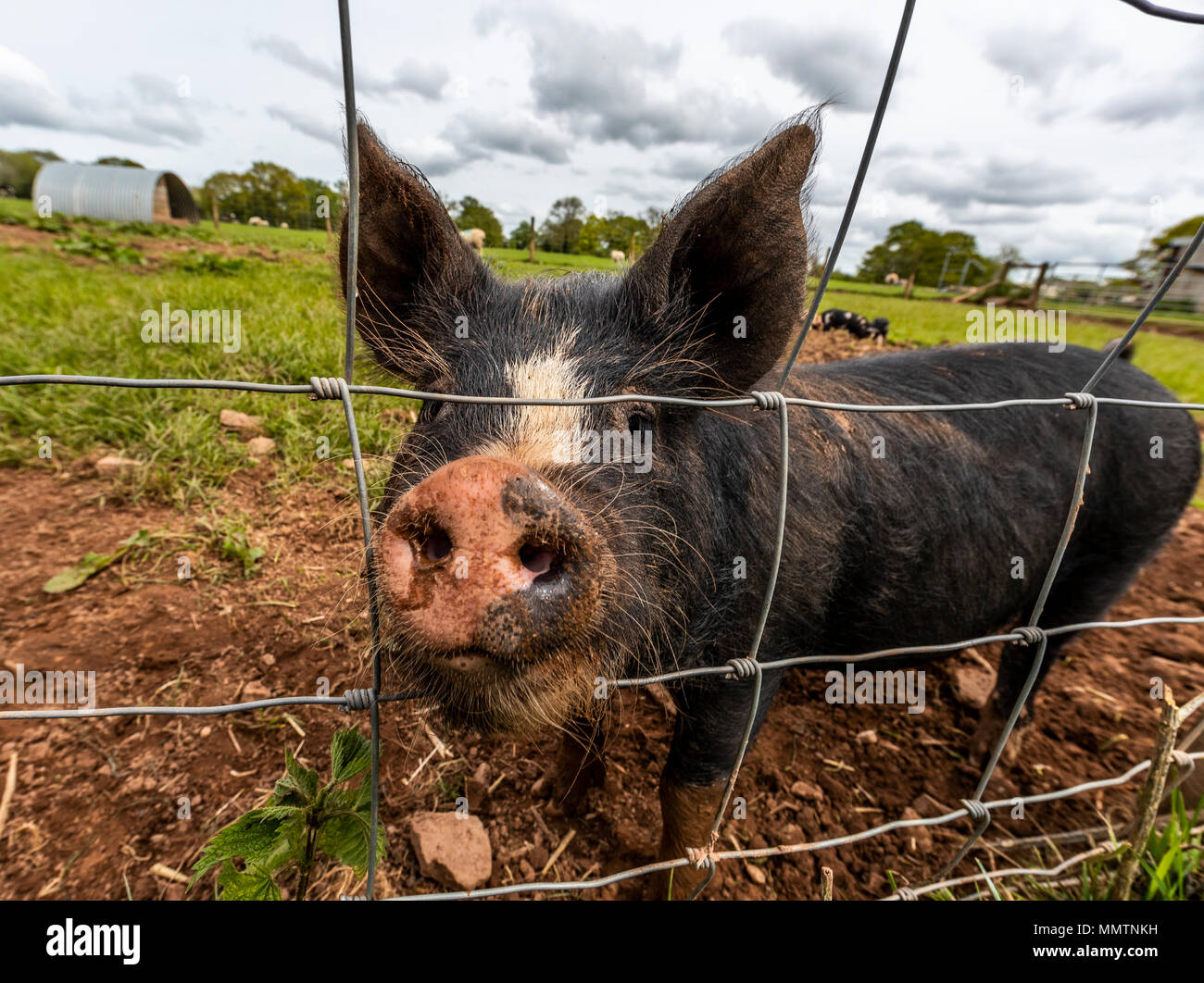 Photographers training day at Humble by Nature in the Monmouthshire ...