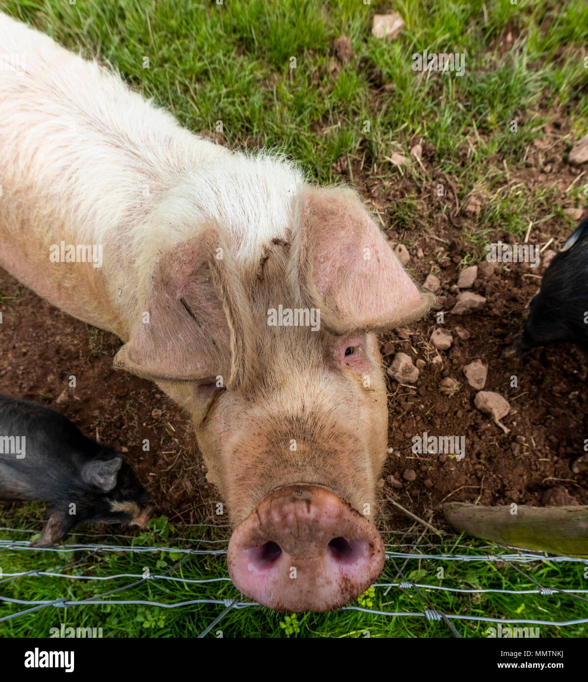 Photographers training day at Humble by Nature in the Monmouthshire ...