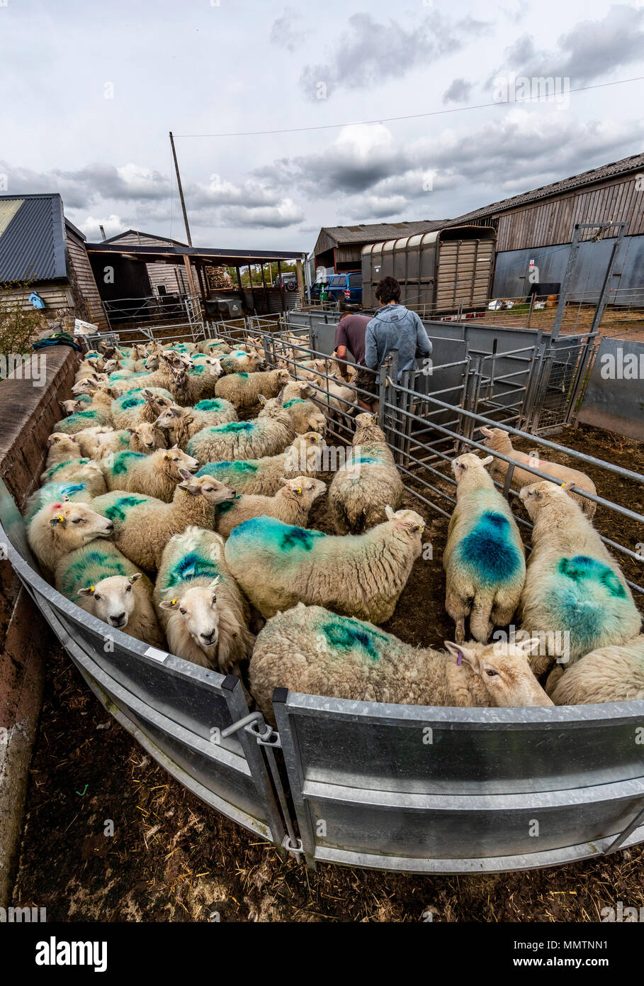 Photographers training day at Humble by Nature in the Monmouthshire ...