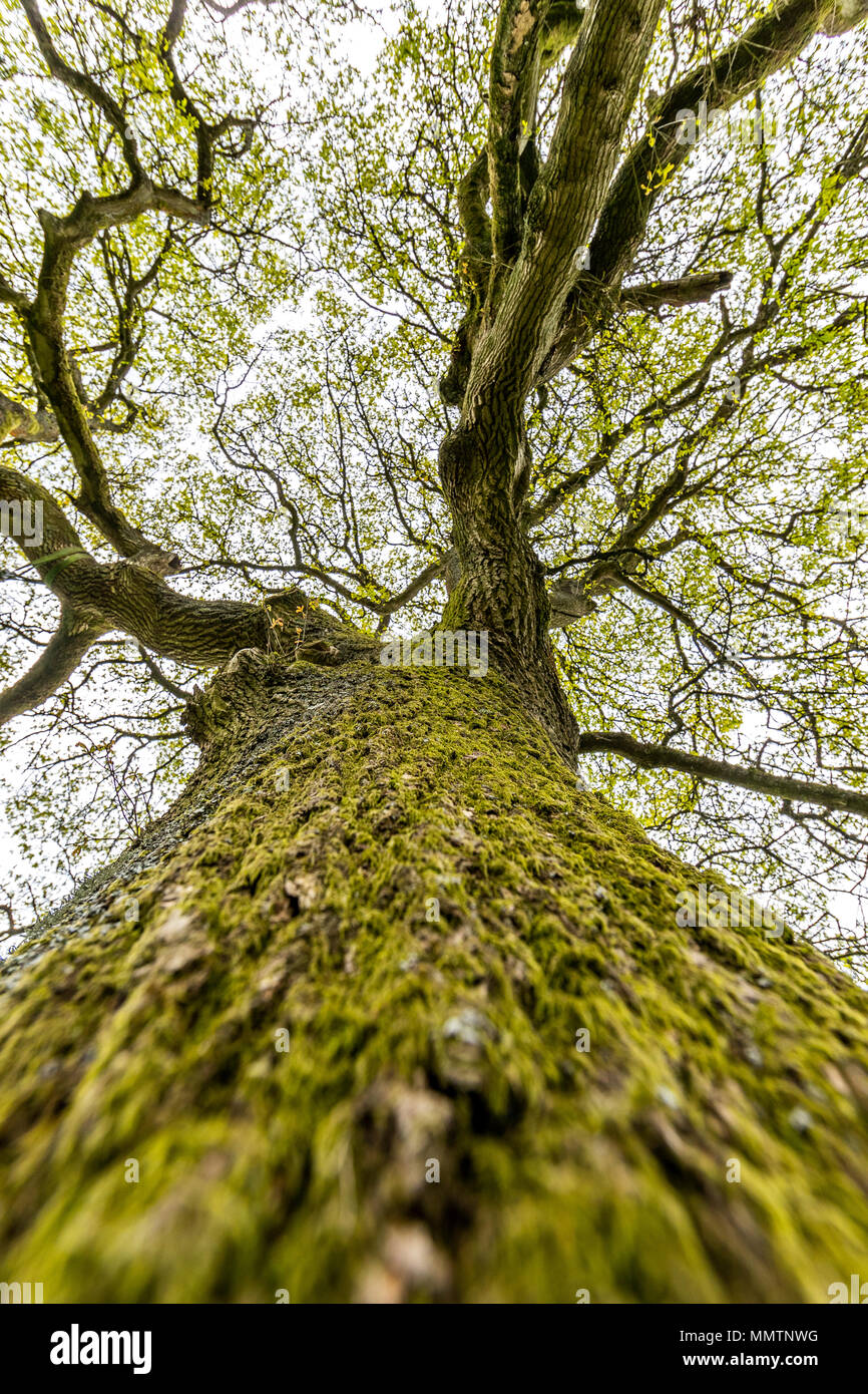Photographers training day at Humble by Nature in the Monmouthshire ...