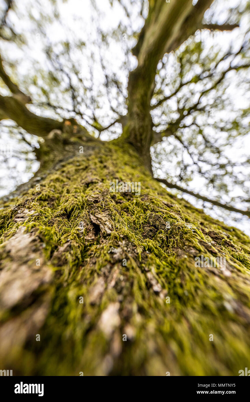 Photographers training day at Humble by Nature in the Monmouthshire ...