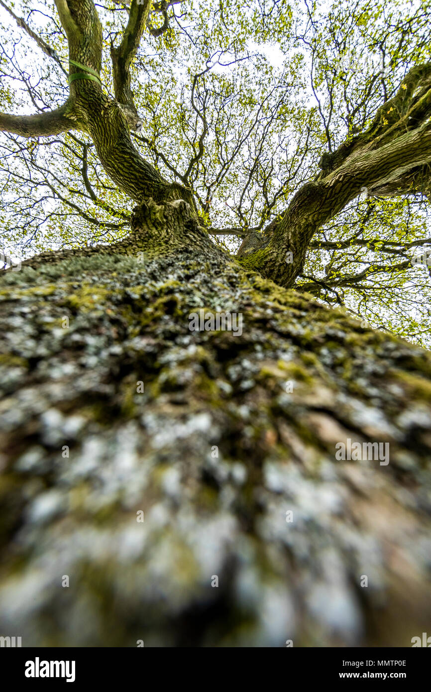 Photographers training day at Humble by Nature in the Monmouthshire ...