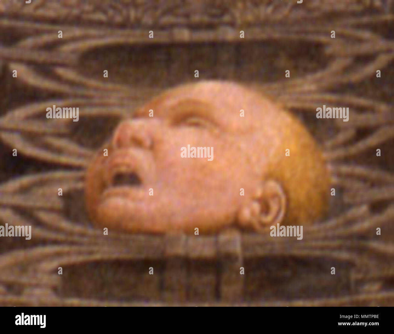 Ceiling of the camera picta hi-res stock photography and images - Alamy